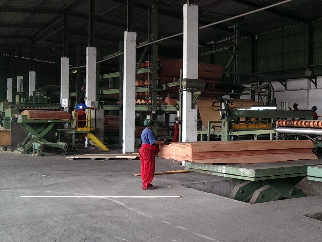 Le Groupe Arbor et Precious Woods s’associent au Gabon - Groupe Arbor