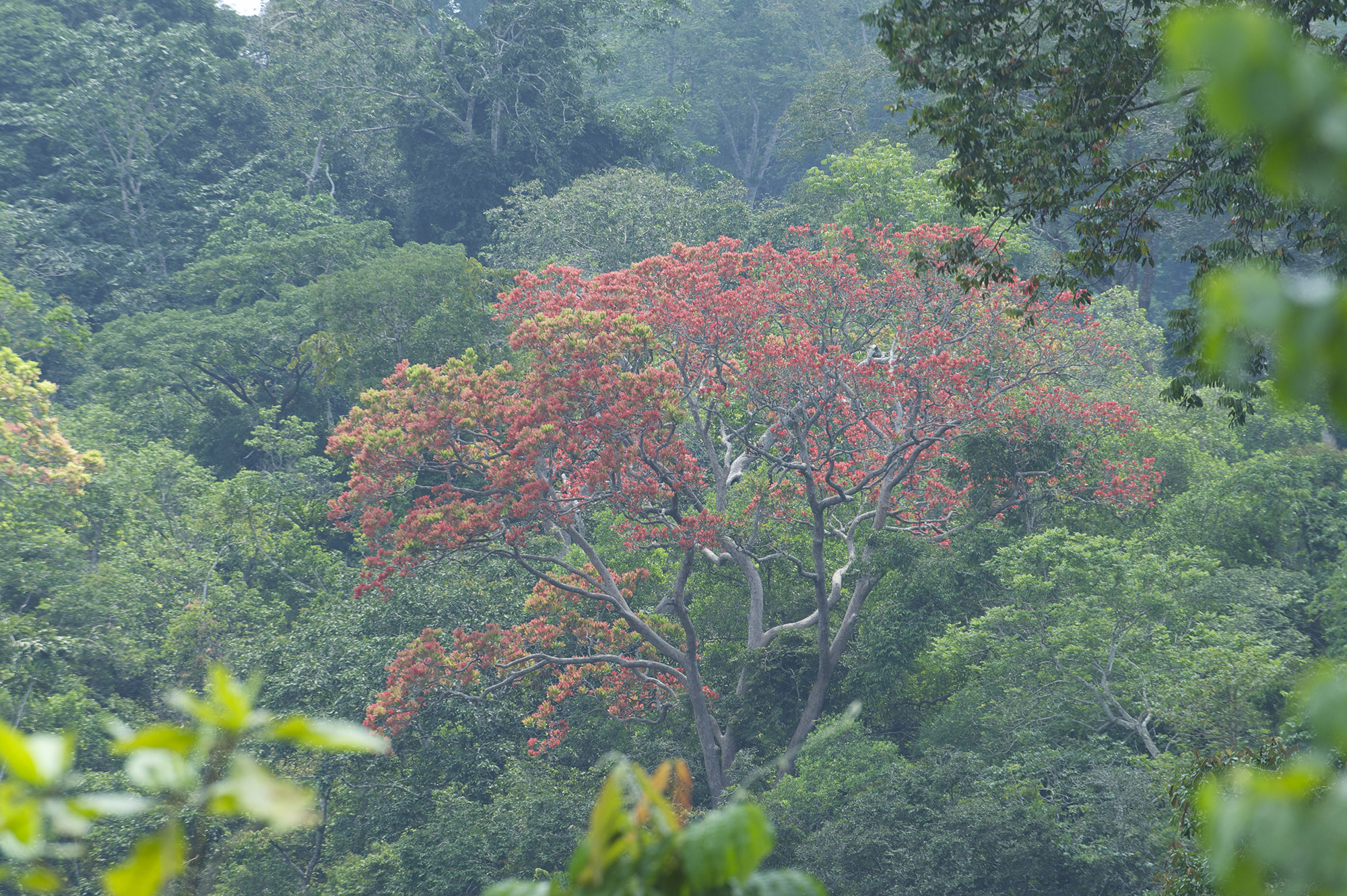 Welcome on our new website - The Arbor Group