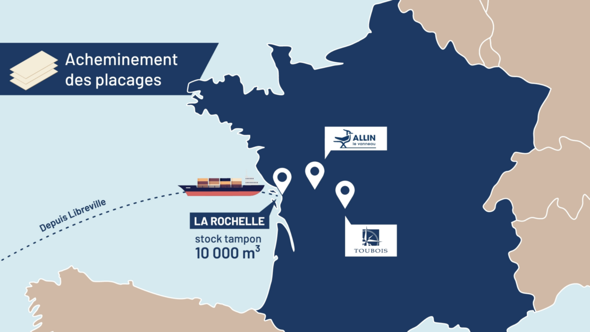 ARBOR Group, from the forest to the finished product - The Arbor Group